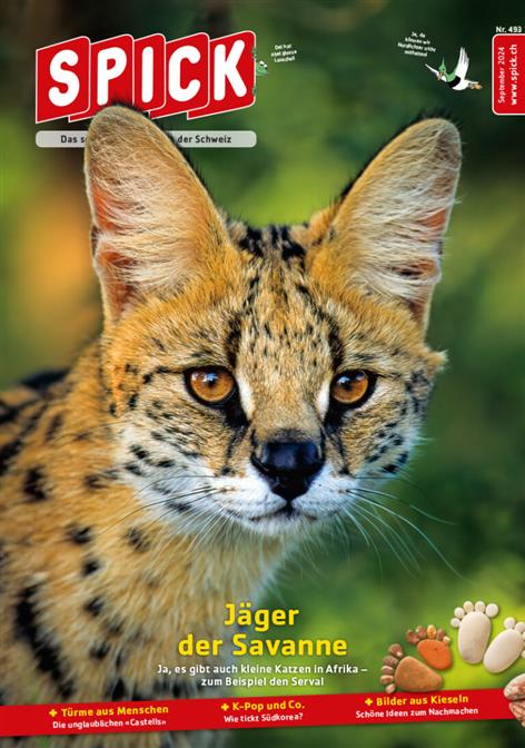 Spick | Presseshop.ch