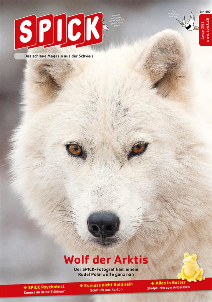 Spick | Presseshop.ch