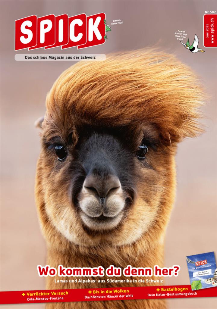 Spick | Presseshop.ch