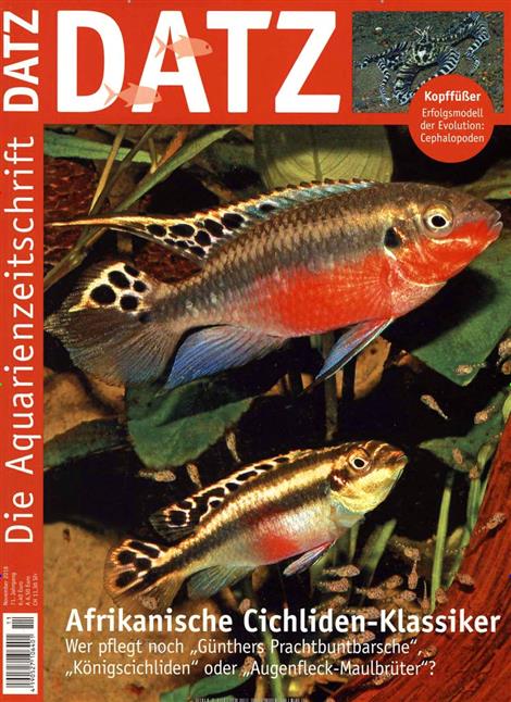 Datz Abo Datz Probe-Abo Datz Geschenkabo bei Presseplus