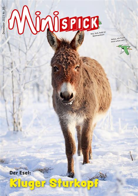 MiniSpick | Presseshop.ch